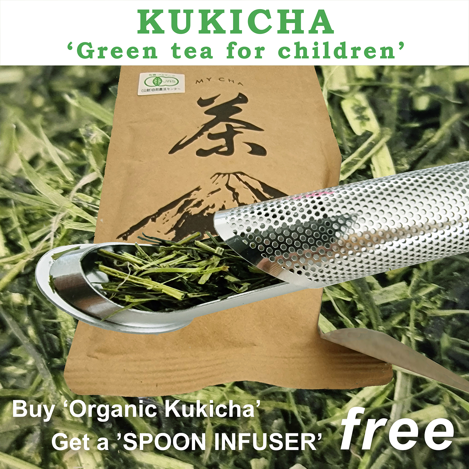 All in 1 – Spoon infuser - MYCHA - Pure japanese green tea