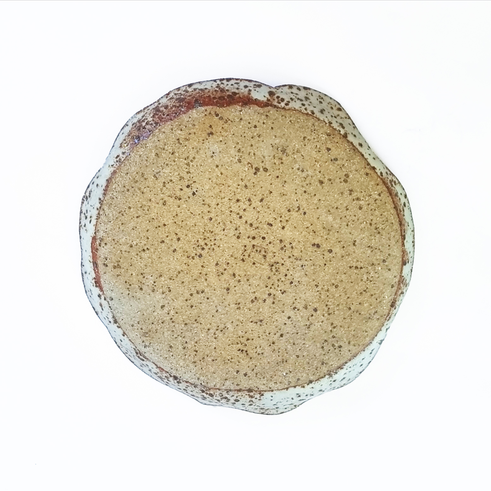 "Autumn Leaf' Japanese Style Plate for Japanese food